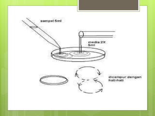 Inokulasi dan identifikasi bakteri | PPT
