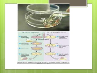 Inokulasi dan identifikasi bakteri | PPT