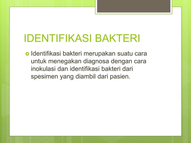 Inokulasi dan identifikasi bakteri | PPTX