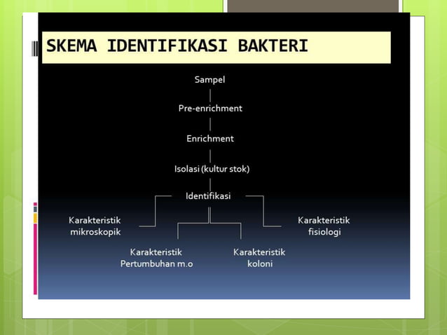 Inokulasi dan identifikasi bakteri | PPTX