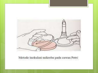 Inokulasi dan identifikasi bakteri | PPT