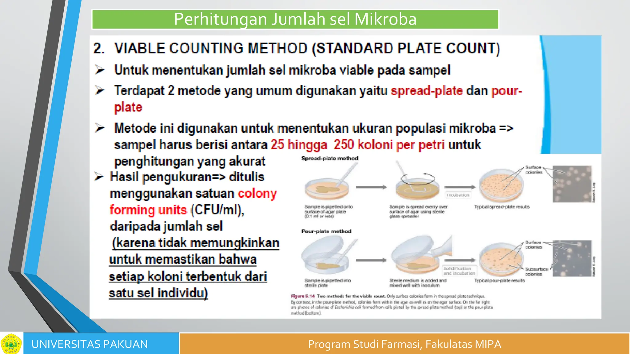 inokulum fermentasi pada susu sapi jawa.pdf