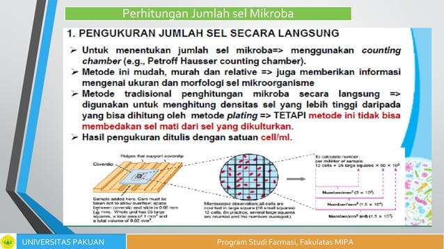 inokulum fermentasi pada susu sapi jawa.pdf