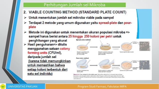 inokulum fermentasi pada susu sapi jawa.pdf