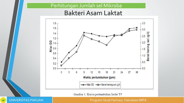 inokulum fermentasi pada susu sapi jawa.pdf