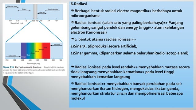inokulum fermentasi pada susu sapi jawa.pdf