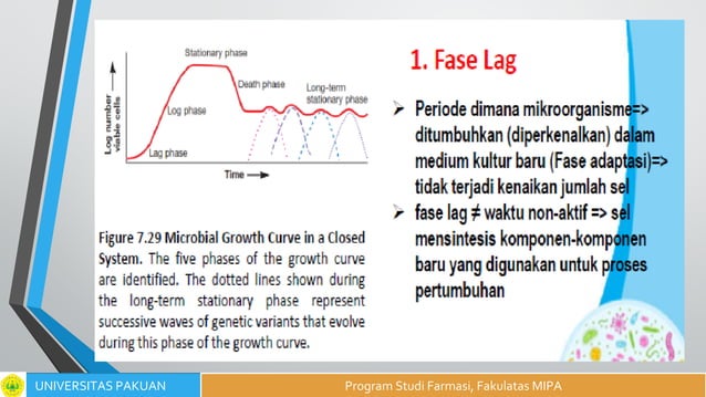inokulum fermentasi pada susu sapi jawa.pdf