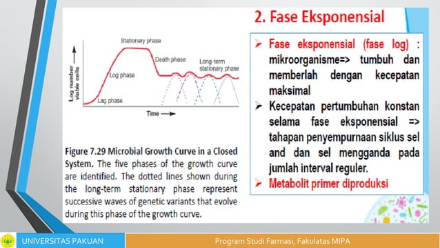 inokulum fermentasi pada susu sapi jawa.pdf