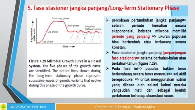 inokulum fermentasi pada susu sapi jawa.pdf