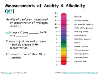 Inorganic-Chemistry-Basics-Lecture-PowerPoint-VCBC.ppt