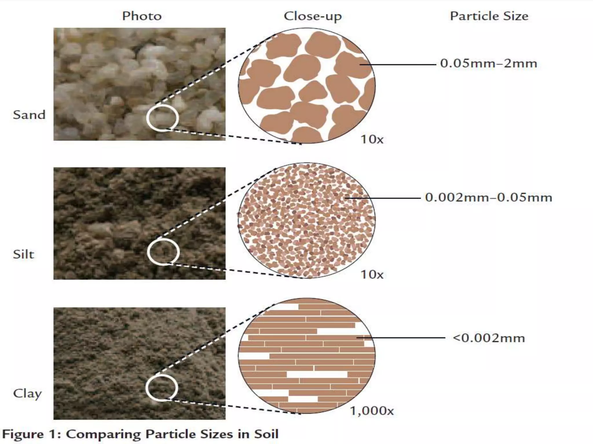 Inorganic and organic components of soil (soil composition) | PPTX