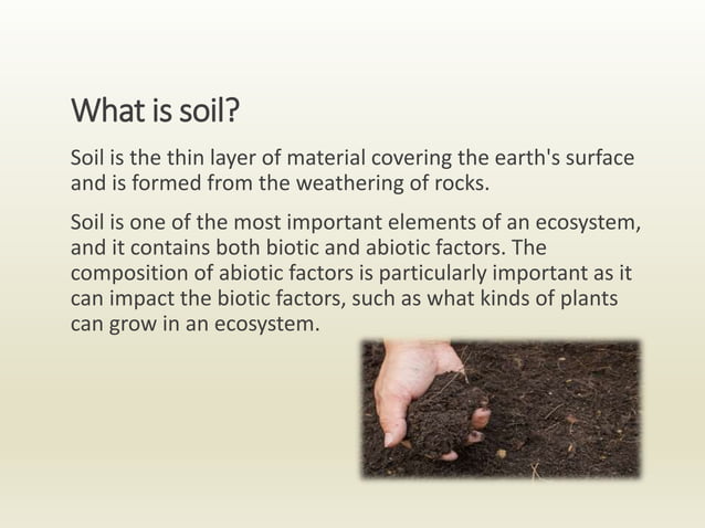 Inorganic and organic components of soil (soil composition) | PPTX ...