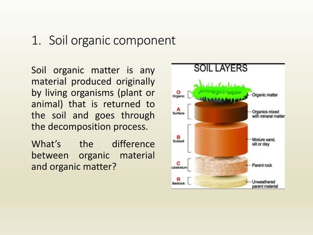 Inorganic and organic components of soil (soil composition) | PPTX ...