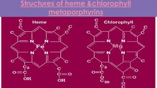 INORGANIC BIOMOLECULES ( BIOINORGANIC CHEMISTRY) | PPTX