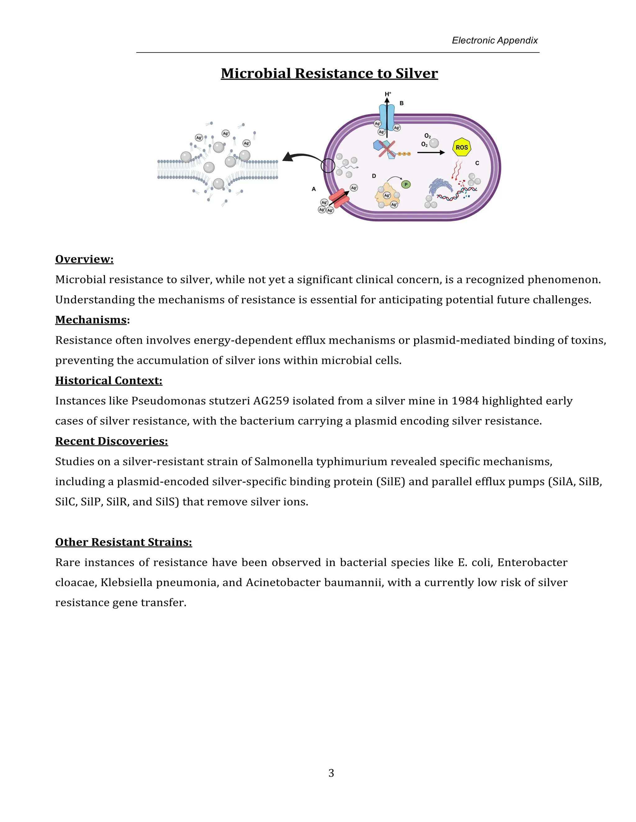 Importance of Silver In Medical Science as Drug | PDF