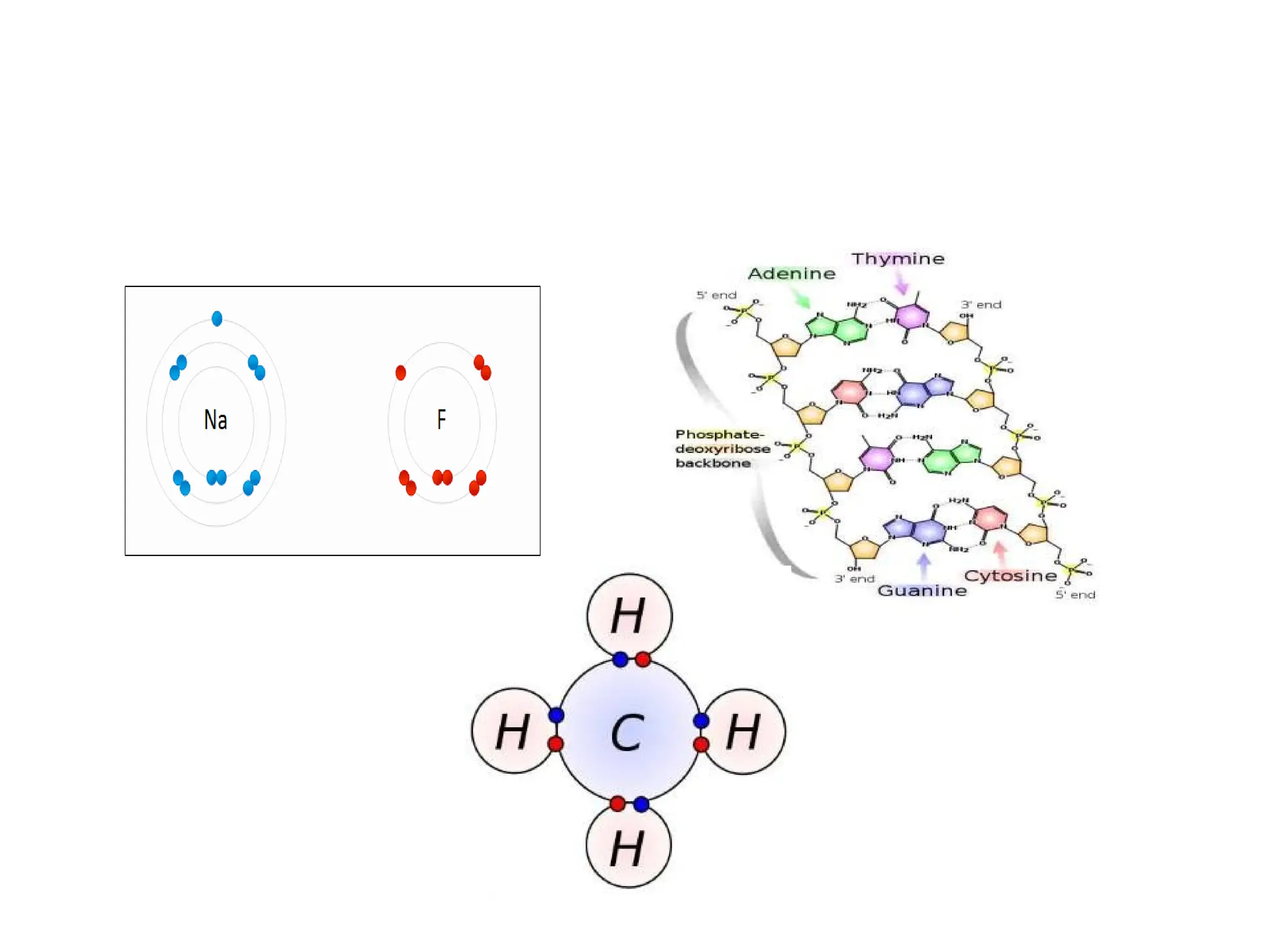 INORGANIC CHEMISTRY MOLECULE Vs COMPUND PPT.pptx