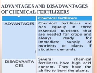 Inorganic fertilizers aqua ppt | PPTX | Agriculture | Industries