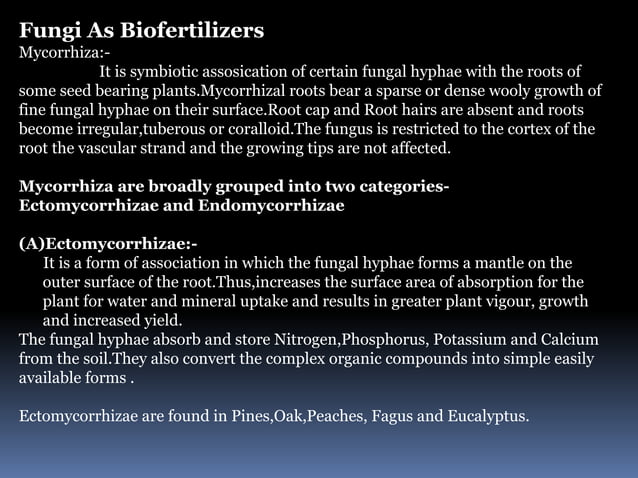 Inorganic Fertilizers, Manures and Biofertilizers.pptx