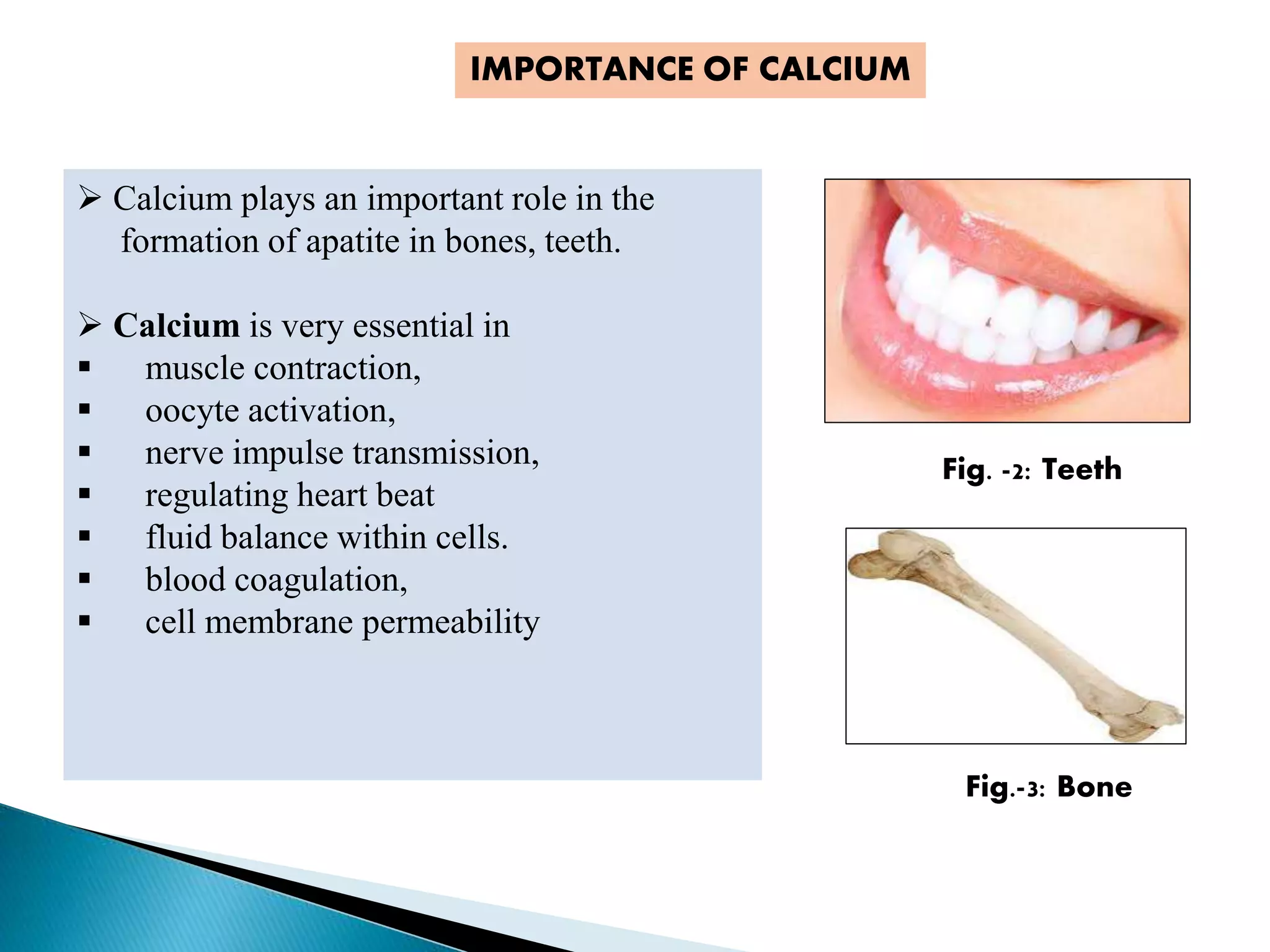 Inorganic Official compounds of Iron, Iodine and Calcium.final | PPTX