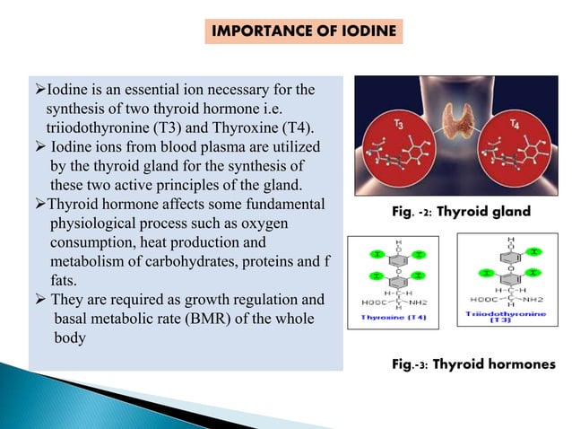 Inorganic Official compounds of Iron, Iodine and Calcium.final | PPTX