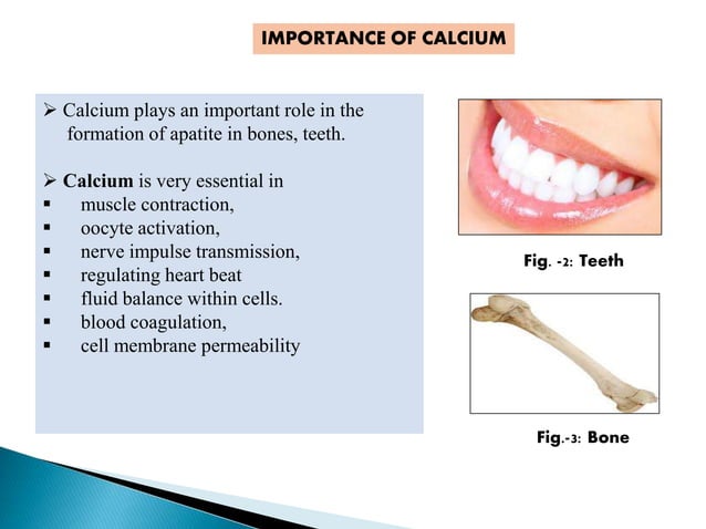 Inorganic Official compounds of Iron, Iodine and Calcium.final | PPTX