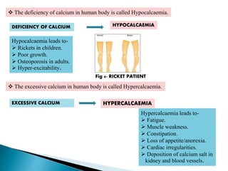Inorganic Official compounds of Iron, Iodine and Calcium.final | PPTX