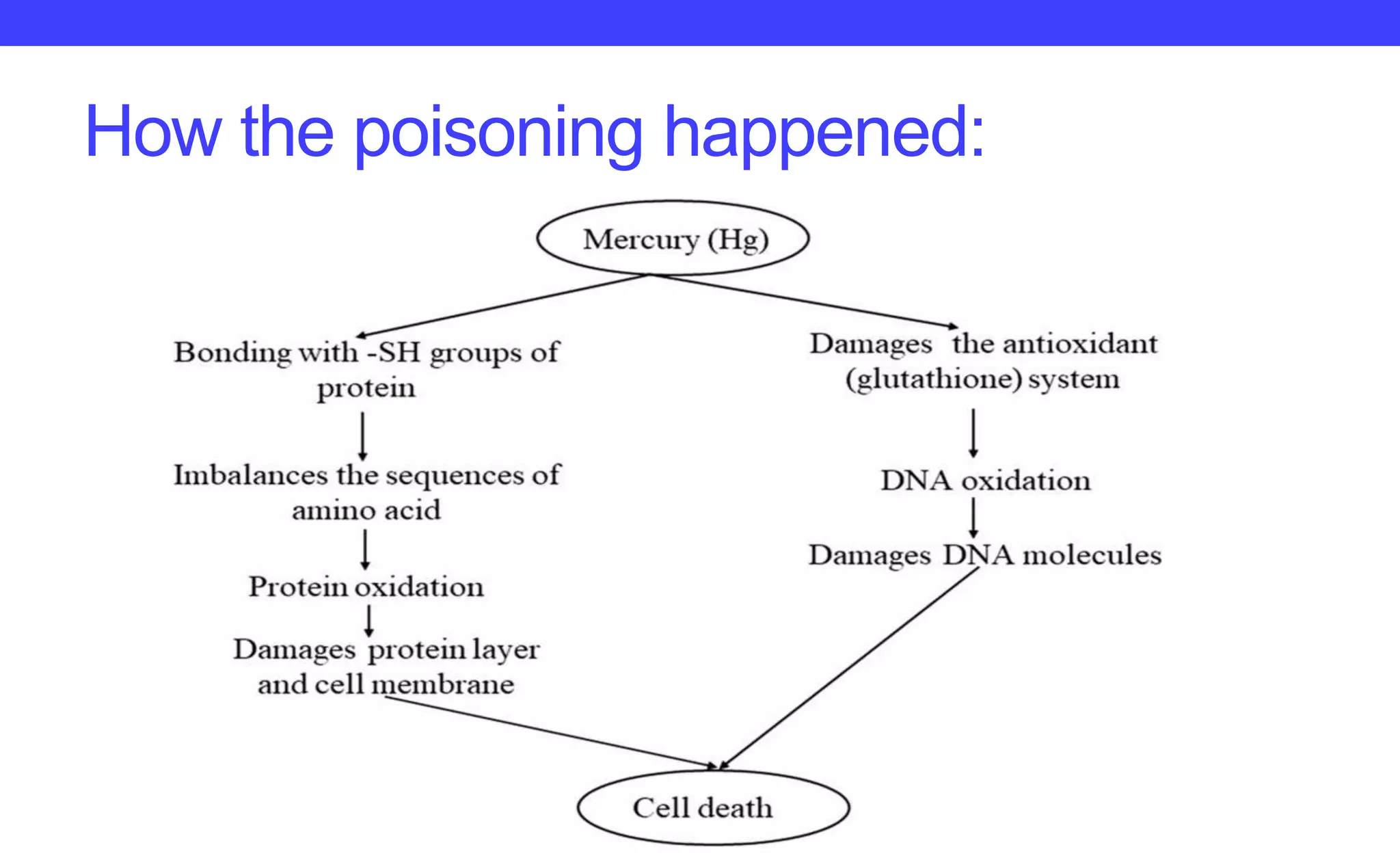 Inorganic mercury toxicity.pptx Inorganic mercury toxicity.pptx
