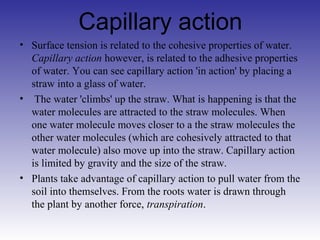 Inorganic molecules | PPT