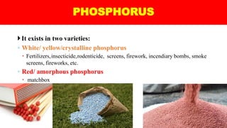 Inorganic (non metallic) irritant Poisons by Sunil Kumar Daha | PPTX