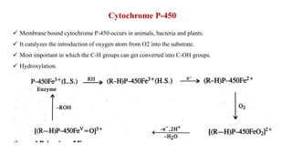 Cytochrome- Electron transfer agent - bioinorganic chemistry | PPTX