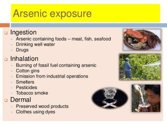 TOXICITY OF METALLIC SPECIES | PPT