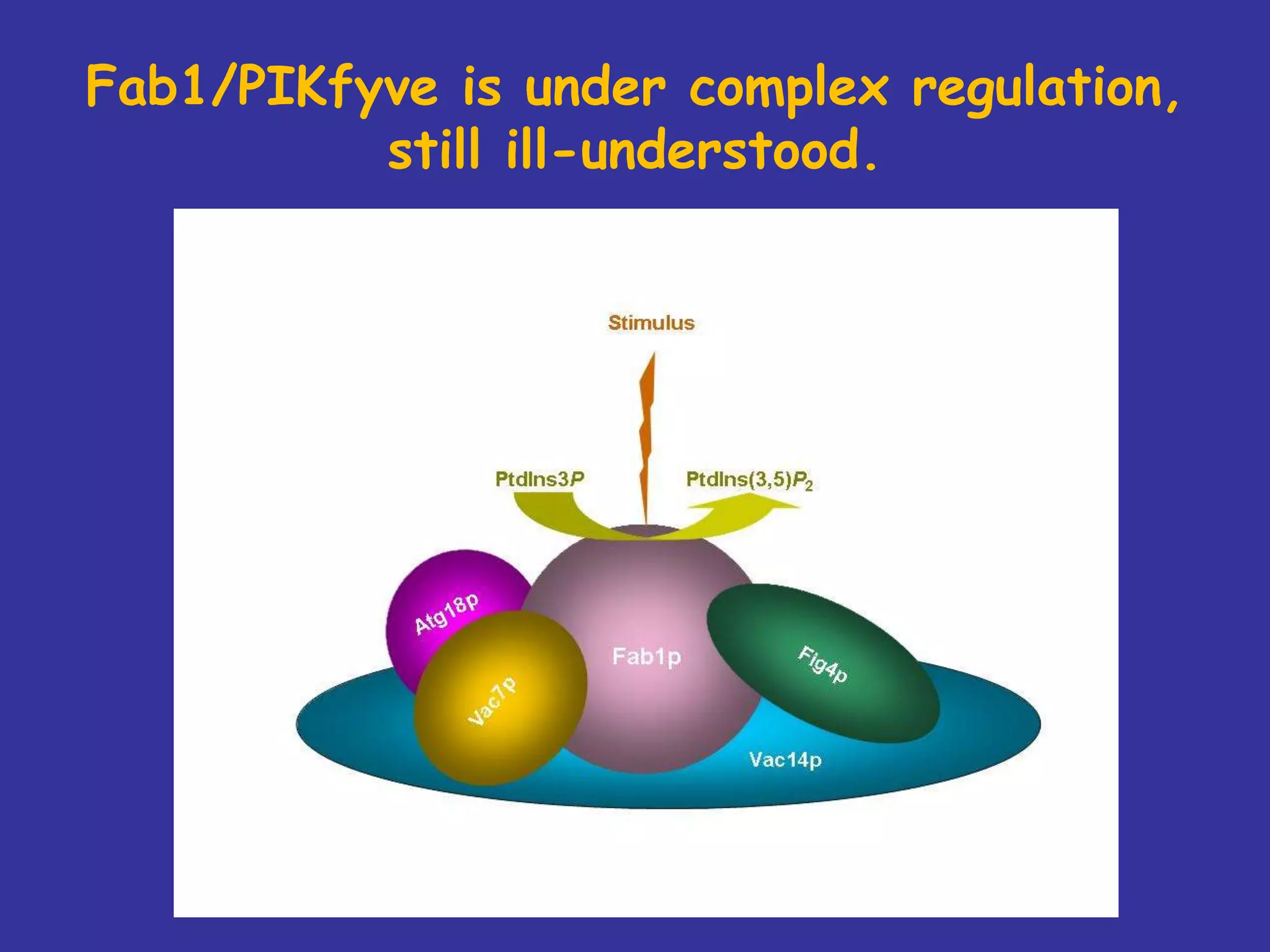 Inositol lipid signalling | PPTX