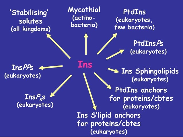 Inositol lipid signalling