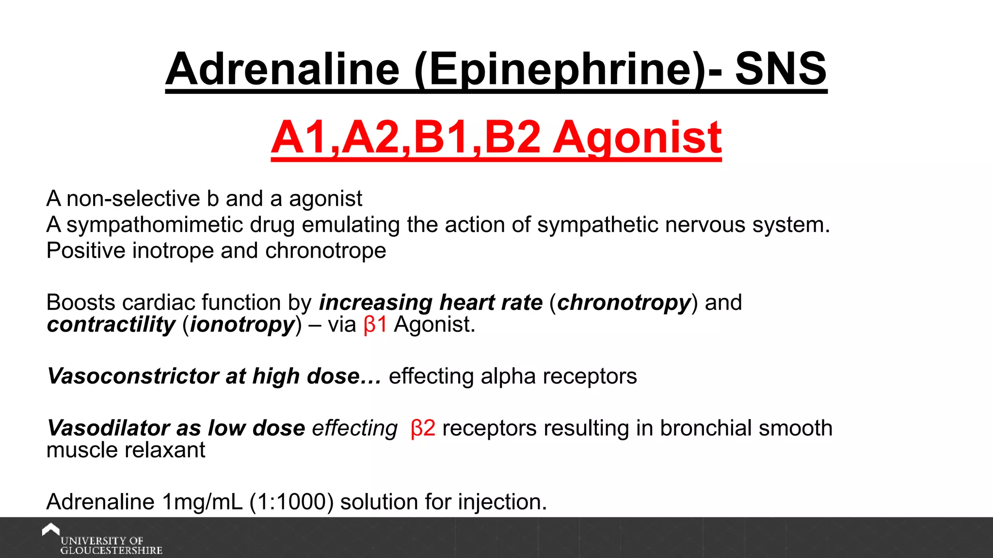 Inotropes and Vasopressors.pptx