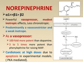 Inotropes and vasopressors in cardiogenic shock | PPT