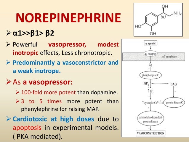 Inotropes and vasopressors in cardiogenic shock