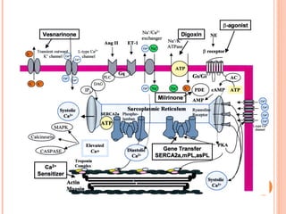 Inotropes in heart failure | PPT