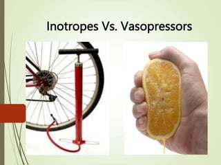 INOTROPES IN SHOCK.pptx