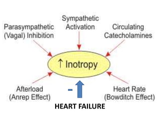 Inotropes | PPTX