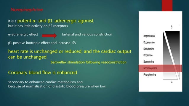 Inotrope use in icu patient fink | PPT