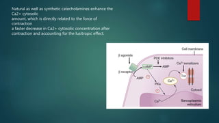 Inotrope use in icu patient fink | PPT