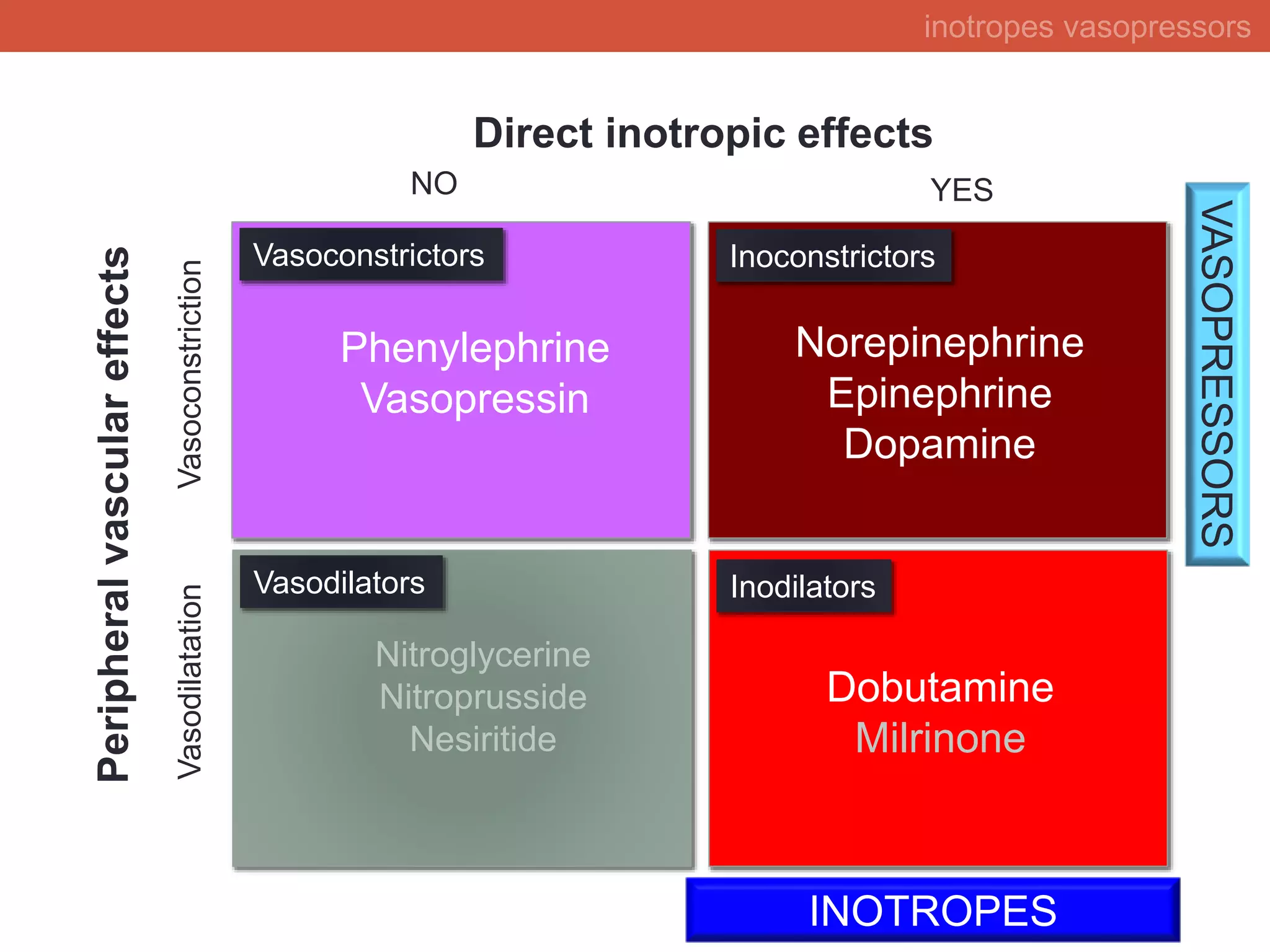 Rational choice of inotropes and vasopressors in intensive care unit | PPSX