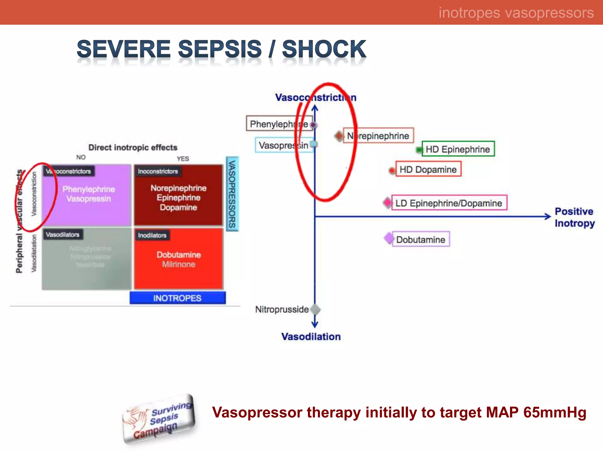 Rational choice of inotropes and vasopressors in intensive care unit | PPSX