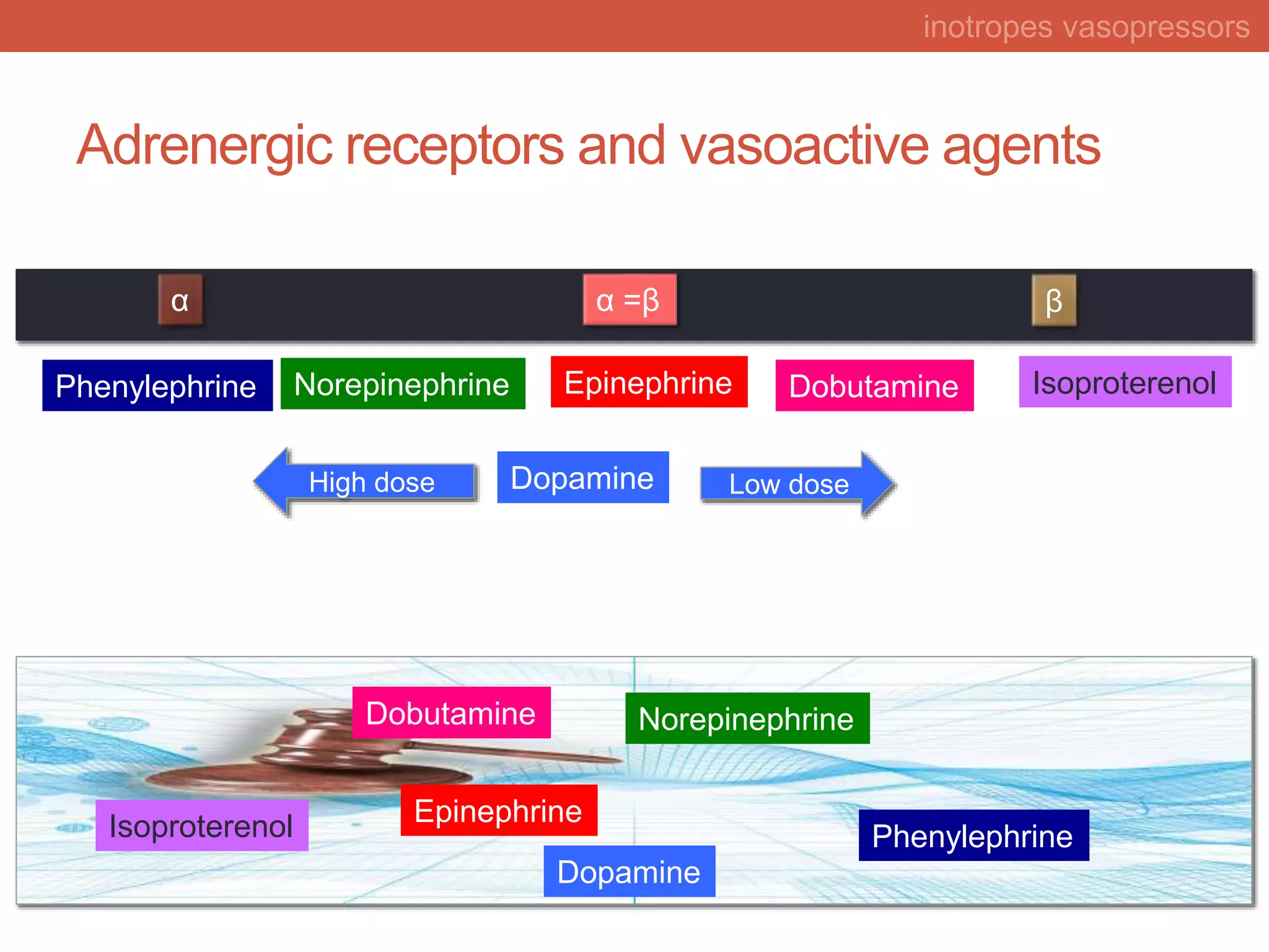 Rational choice of inotropes and vasopressors in intensive care unit | PPSX