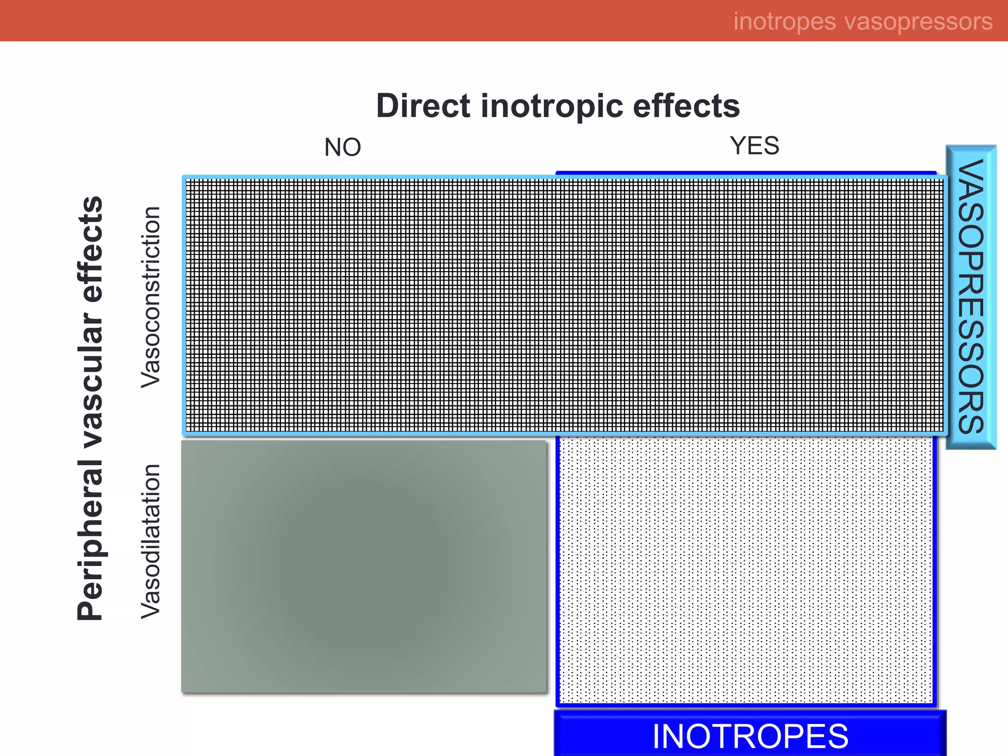 Rational choice of inotropes and vasopressors in intensive care unit | PPSX