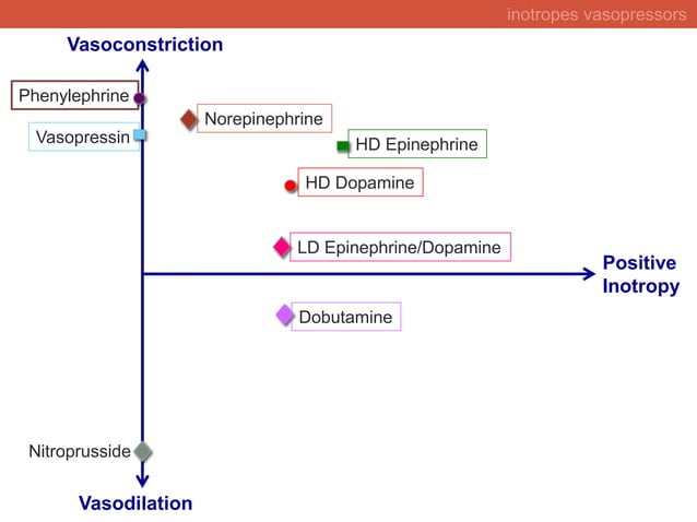 Rational choice of inotropes and vasopressors in intensive care unit | PPSX | Heart and ...