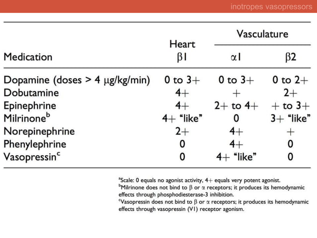 Rational choice of inotropes and vasopressors in intensive care unit | PPSX | Heart and ...