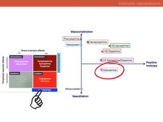 Rational choice of inotropes and vasopressors in intensive care unit | PPSX