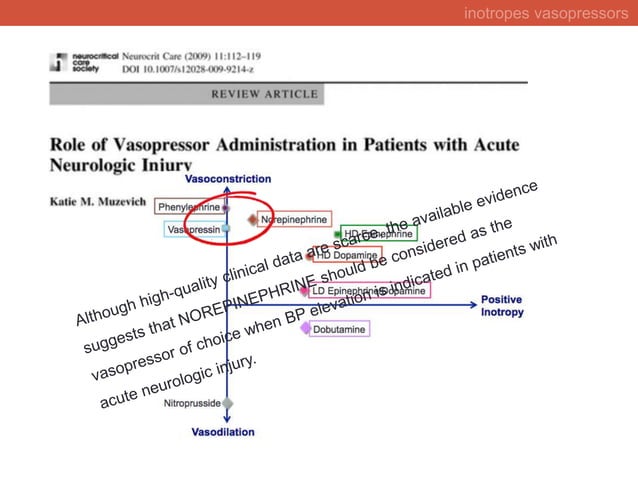 Rational choice of inotropes and vasopressors in intensive care unit | PPSX | Heart and ...
