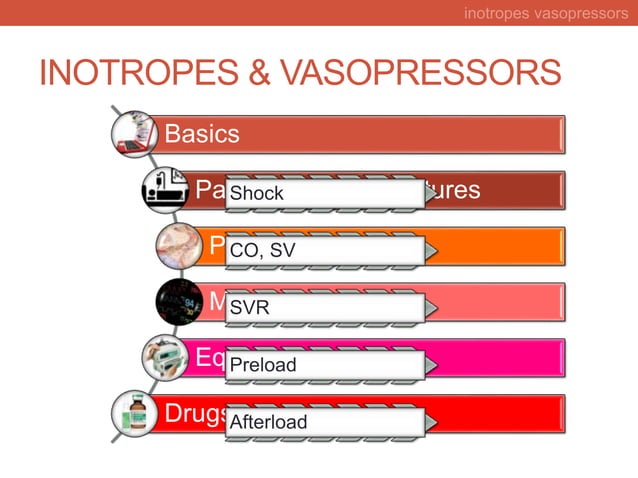 Rational choice of inotropes and vasopressors in intensive care unit | PPSX | Heart and ...
